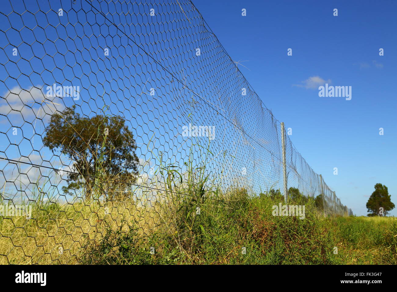 The Dingo Barrier Fence, also called the dog fence, dingo fence, and ...