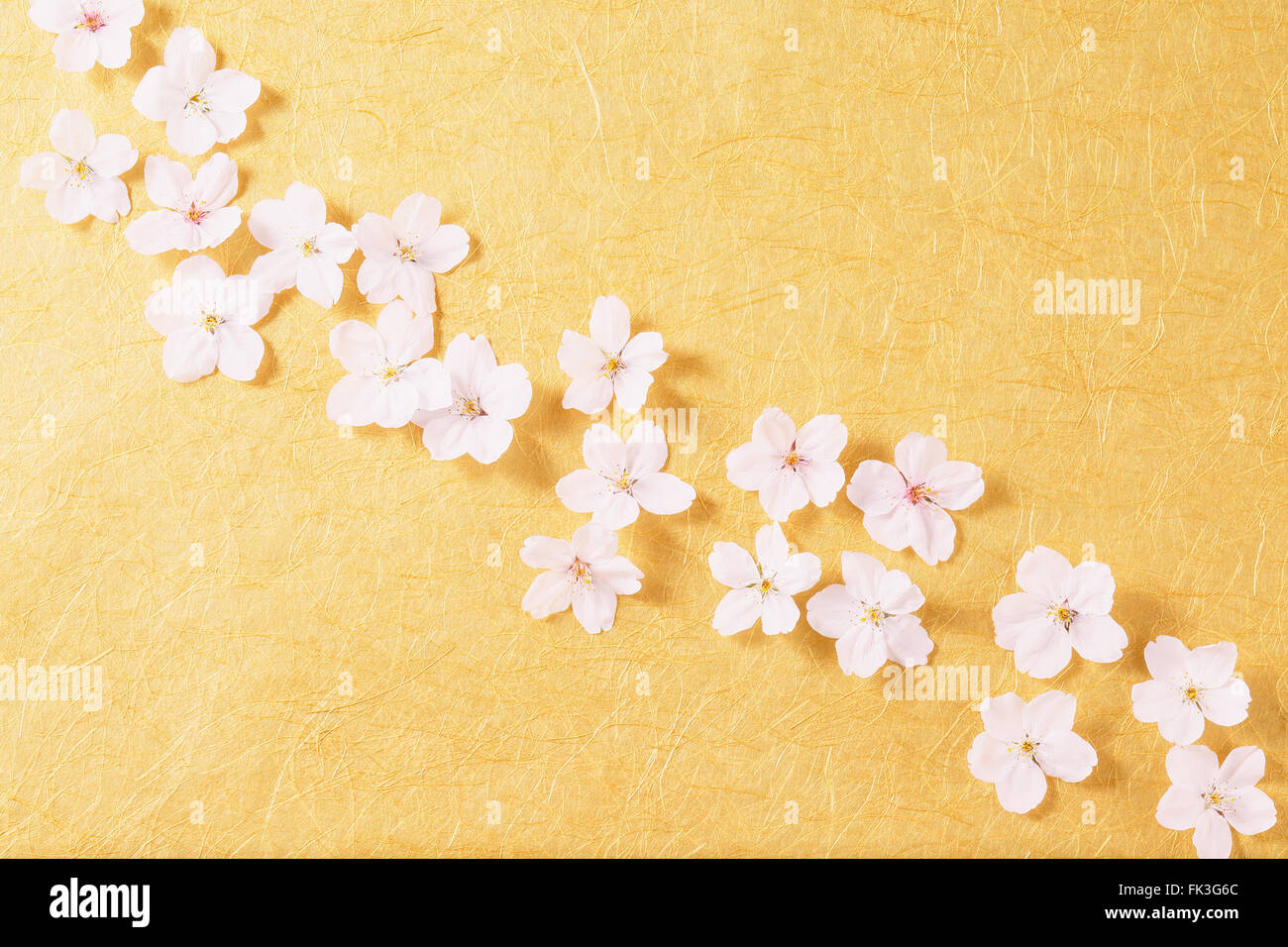 Cherry blossoms on paper Stock Photo - Alamy