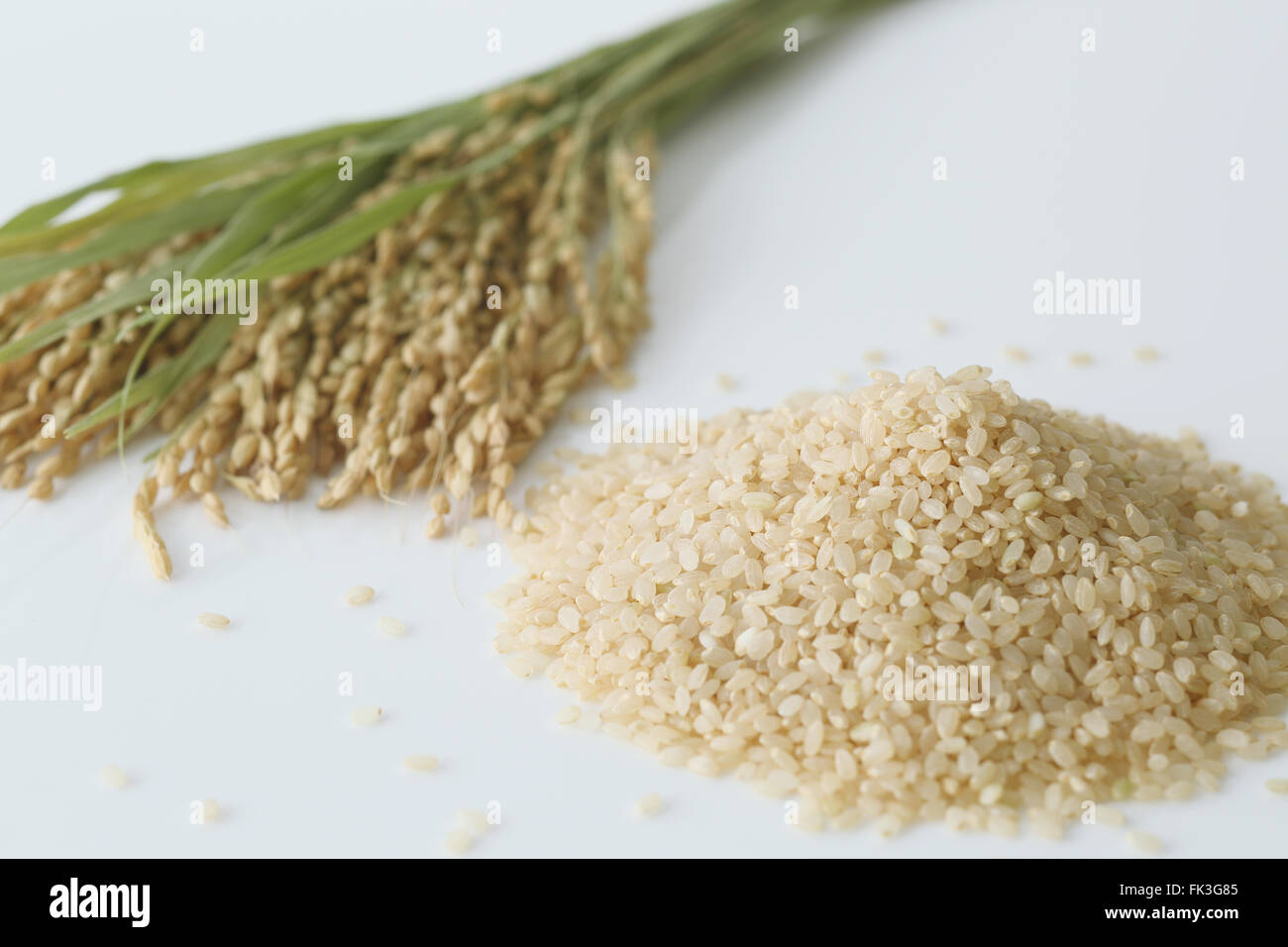Rice carbohydrate hi-res stock photography and images - Alamy