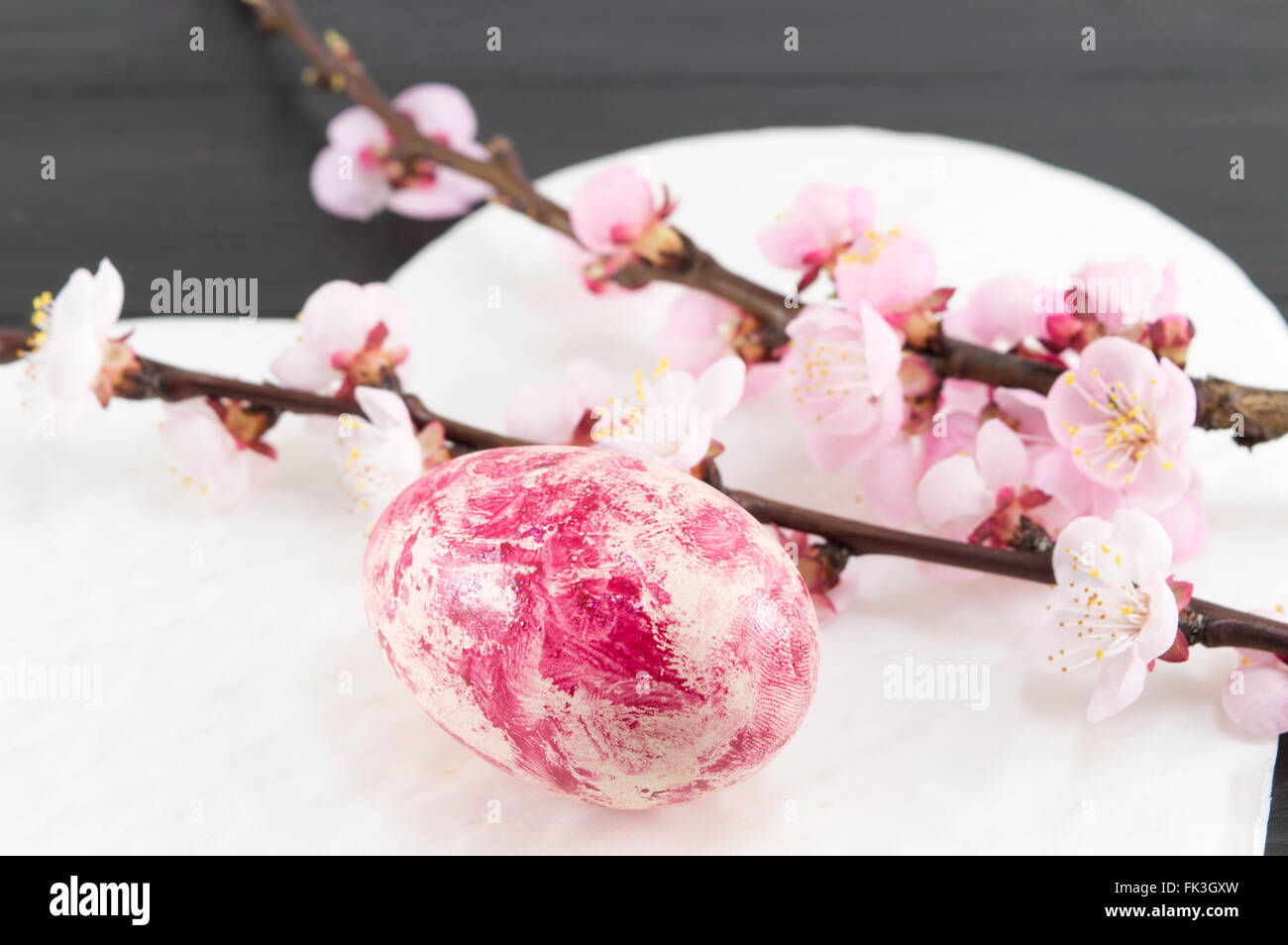 Decorated Easter eggs and fresh cherry blossom tree Stock Photo - Alamy