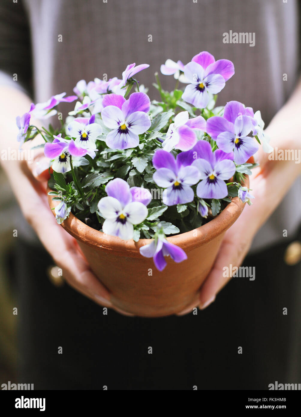 Adult ken hi-res stock photography and images - Alamy