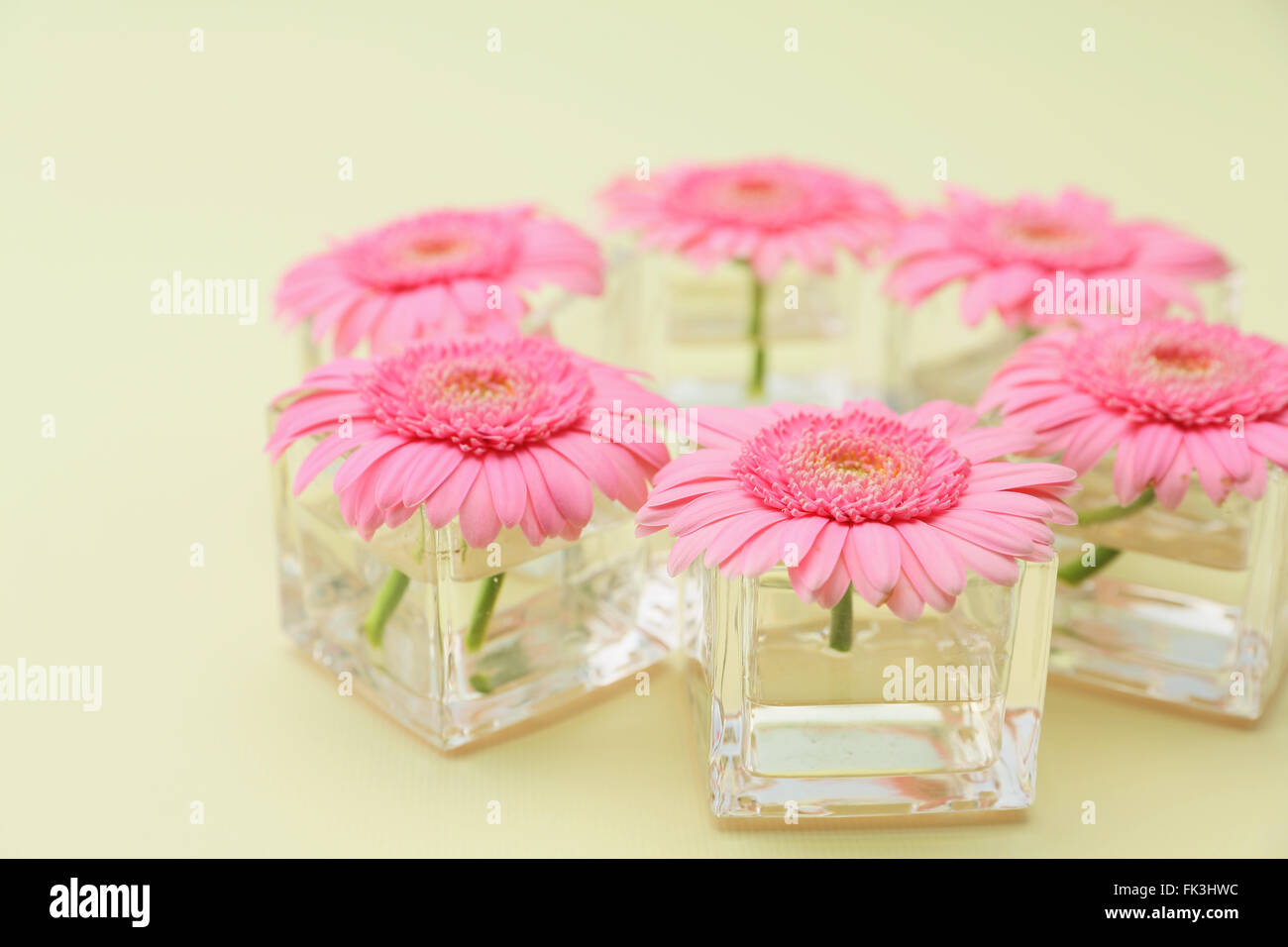 Mums rose hi-res stock photography and images - Alamy