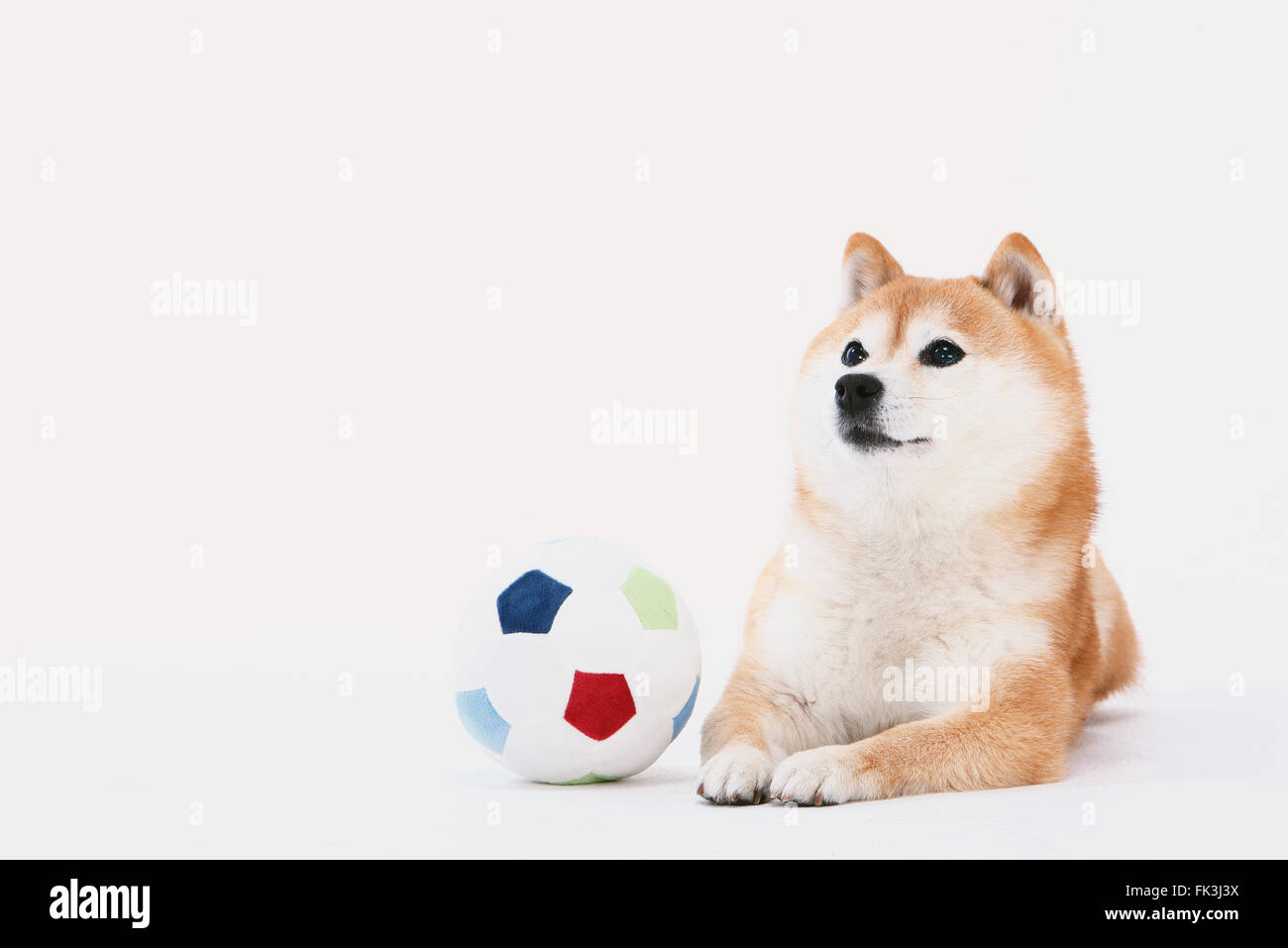 Animal ball hi-res stock photography and images - Alamy