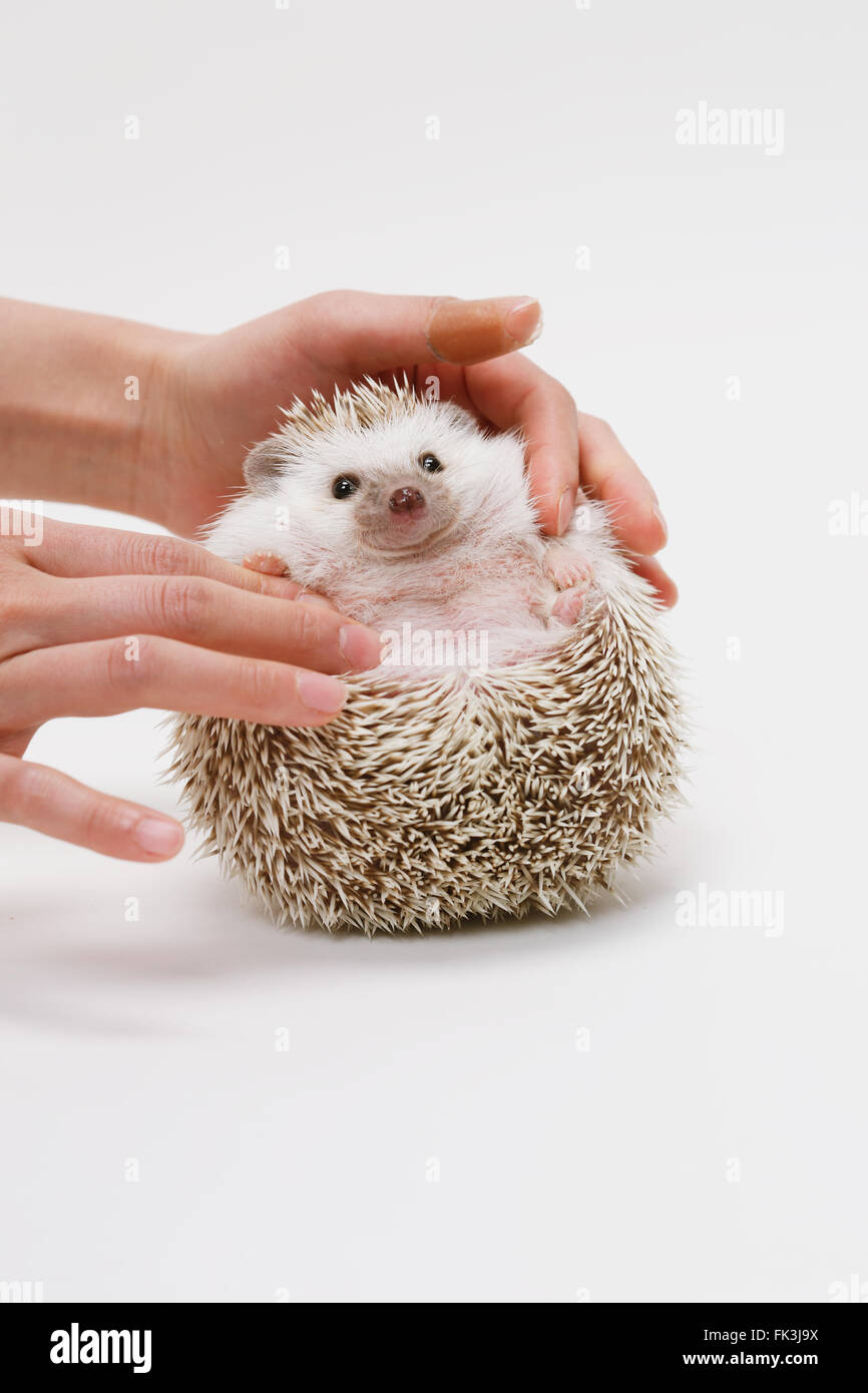 Curled up person hi-res stock photography and images - Alamy