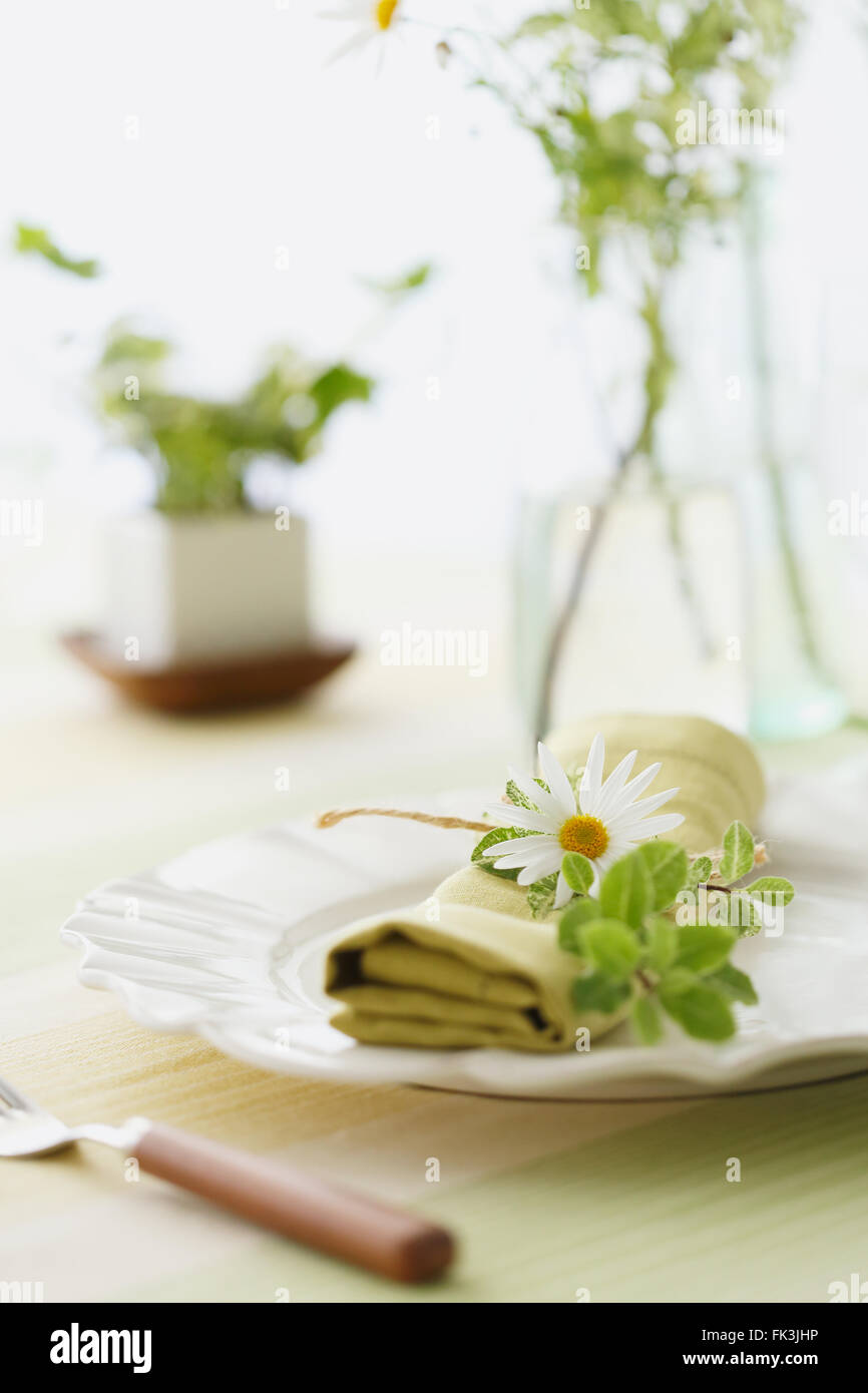 Beautiful table setting potted hi-res stock photography and images - Alamy