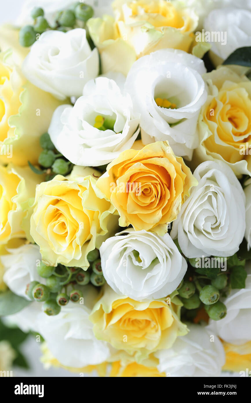 Coordinate hi-res stock photography and images - Alamy