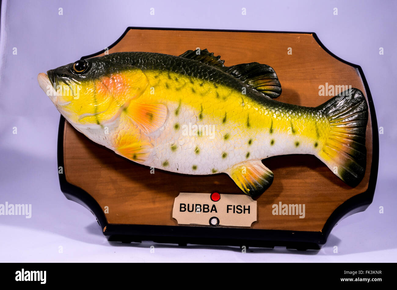Wooden Bass Fish Trophy Stock Photo - Alamy