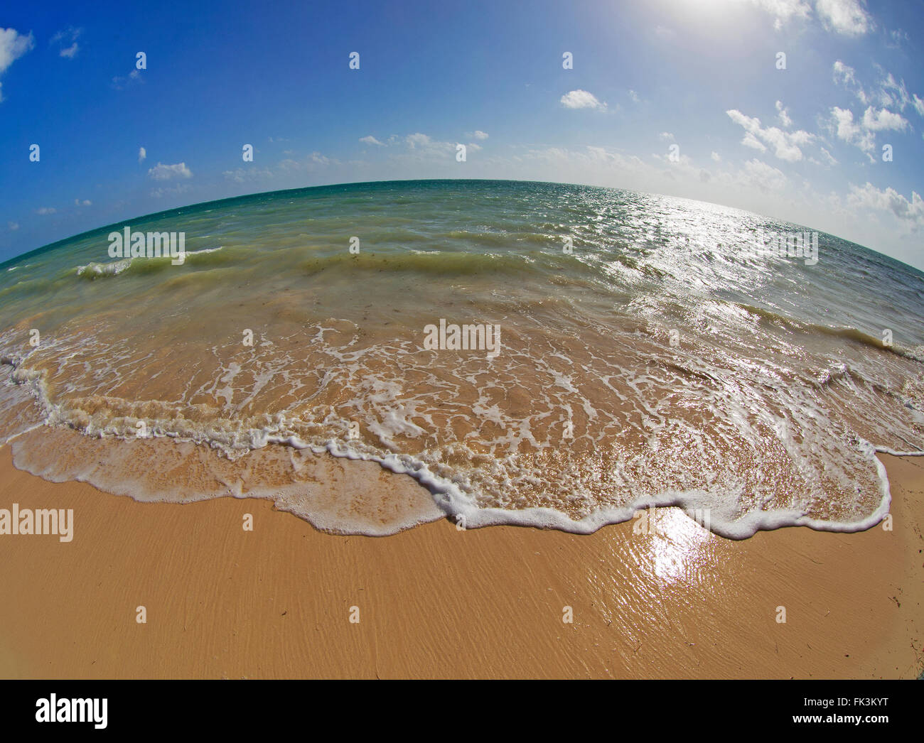 Tropical, fish eye lens hi-res stock photography and images - Alamy