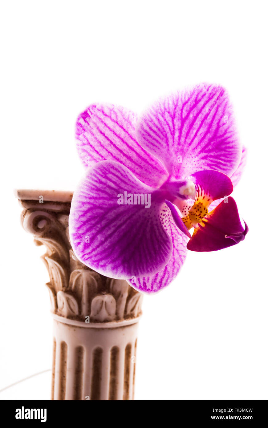 Classical column with flower Stock Photo - Alamy