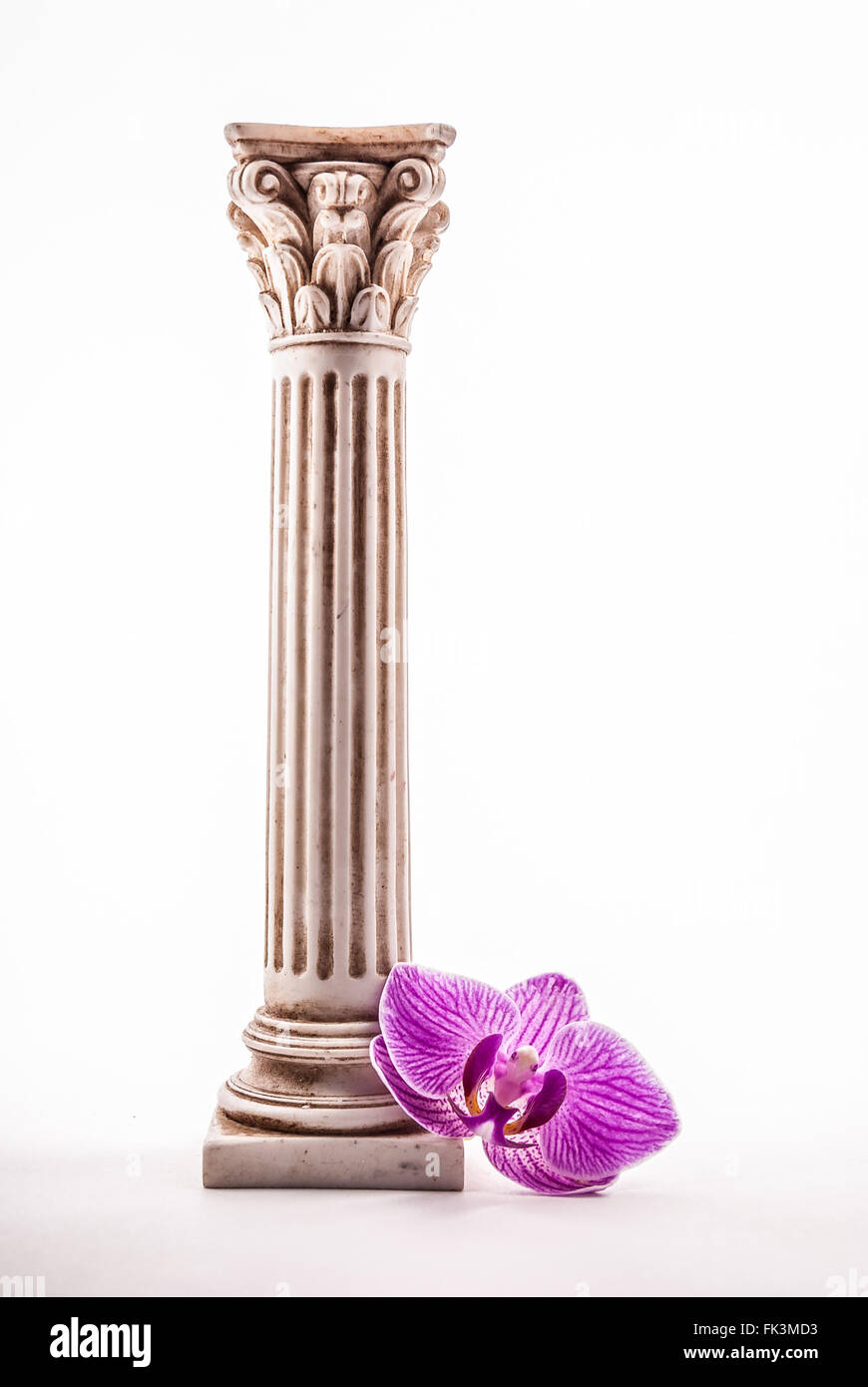 Classical column with flower Stock Photo - Alamy