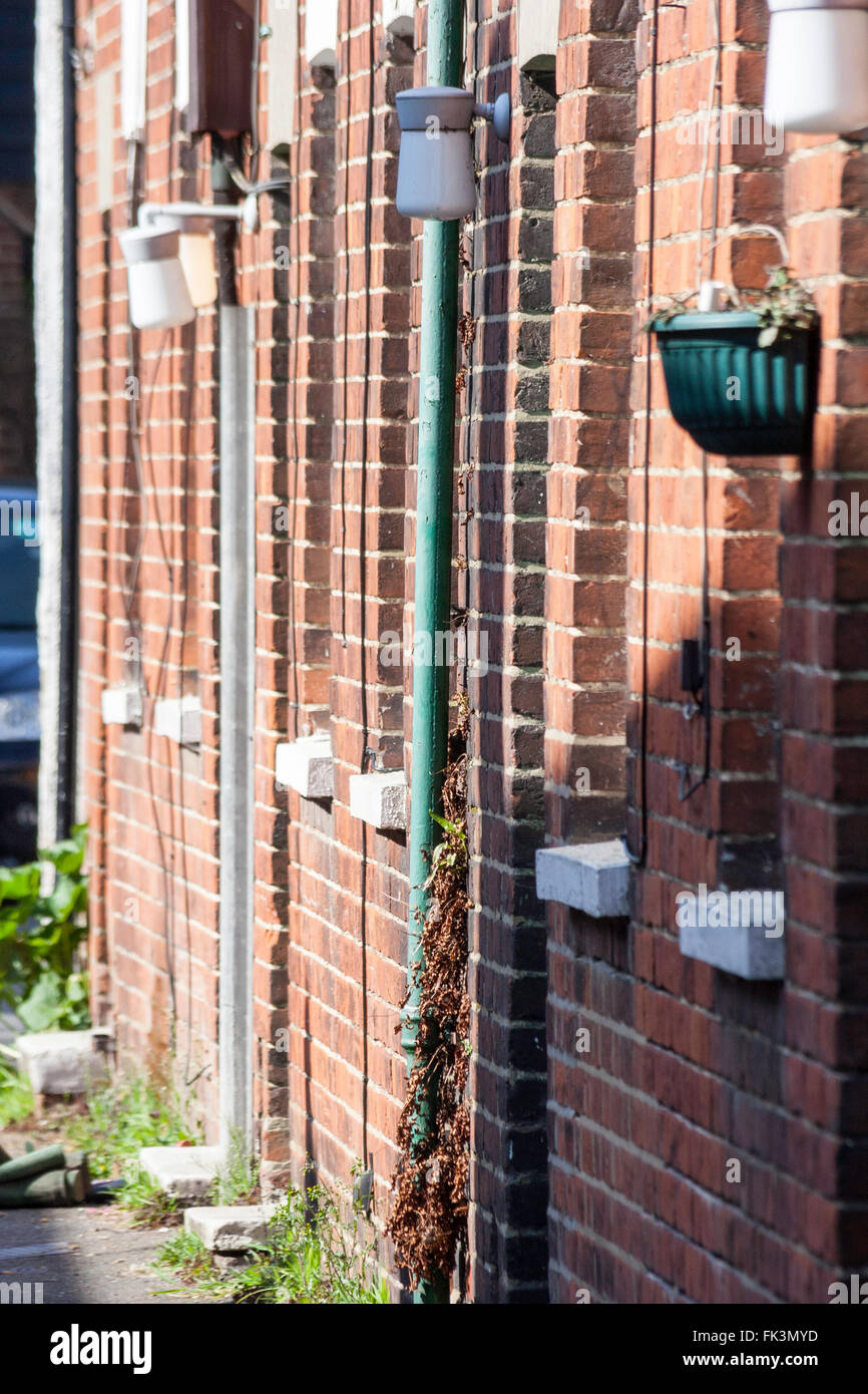 Working class victorian terrace hi-res stock photography and images - Alamy
