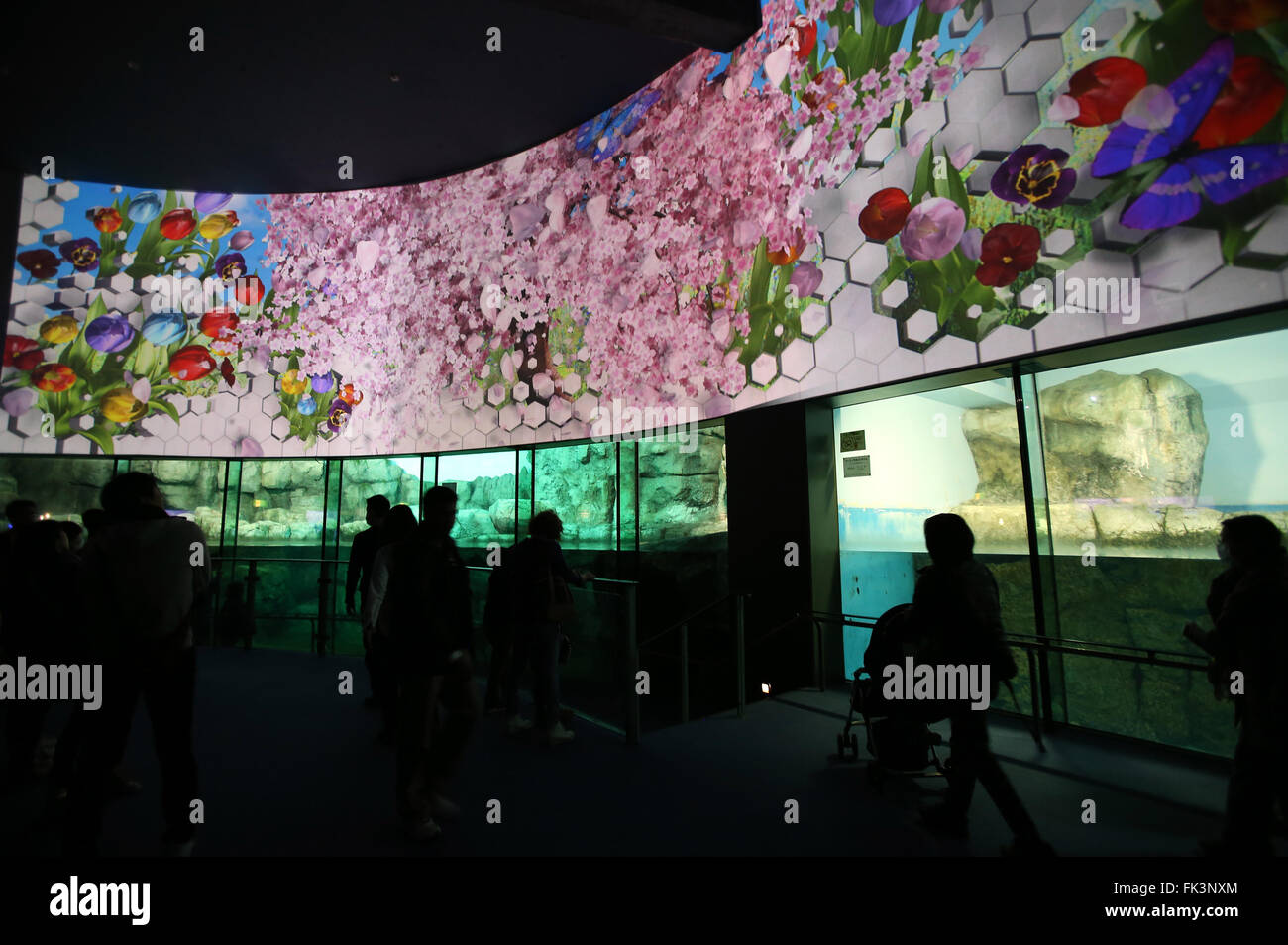 Projection mapping interior hi-res stock photography and images - Alamy