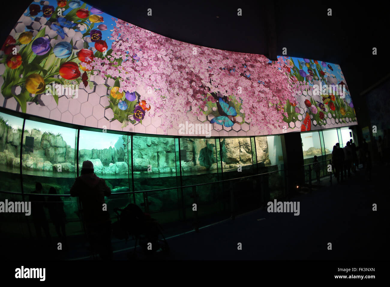 Projection mapping interior hi-res stock photography and images - Alamy