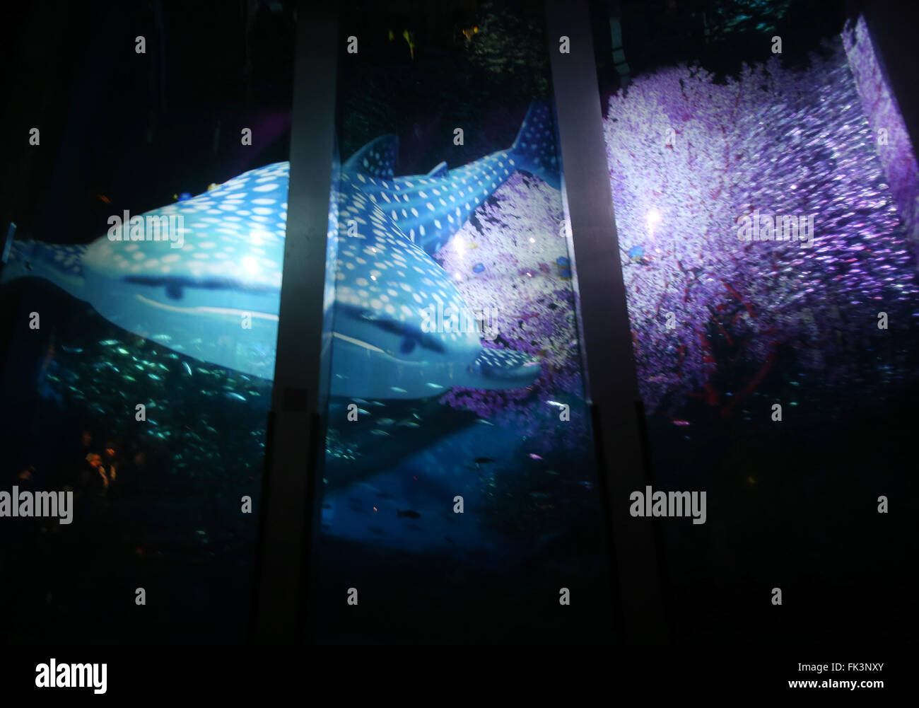 Projection mapping interior hi-res stock photography and images - Alamy