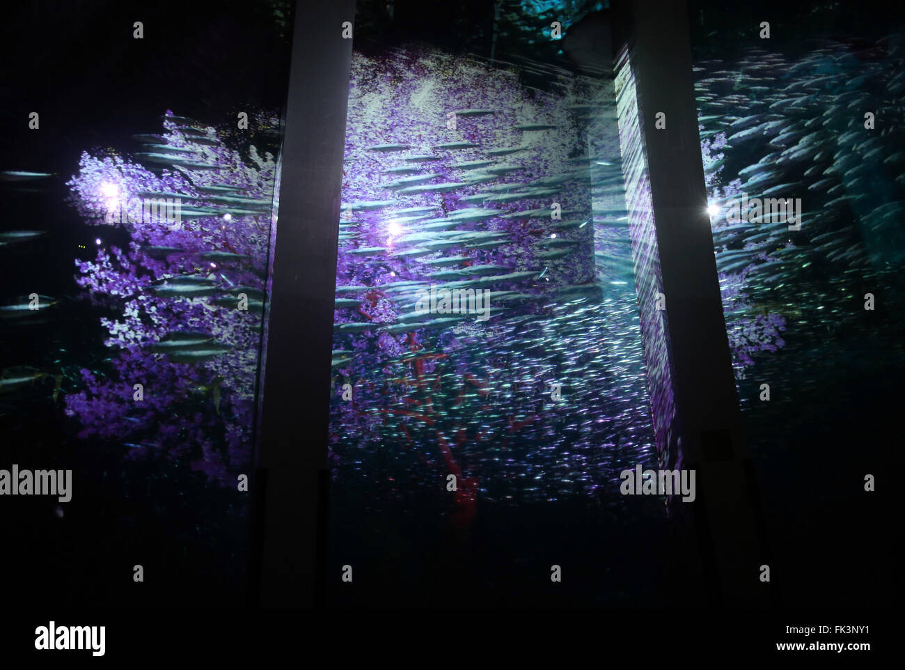 Projection mapping interior hi-res stock photography and images - Alamy