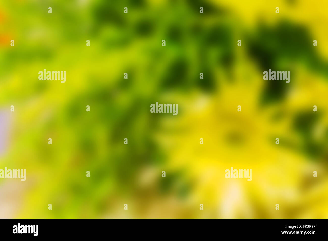 Green blur abstract hi-res stock photography and images - Alamy