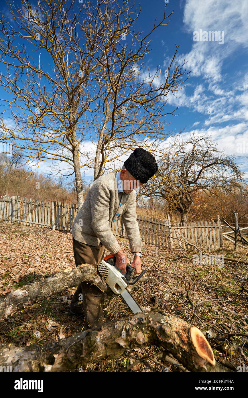 Chopping the branches hi-res stock photography and images - Alamy