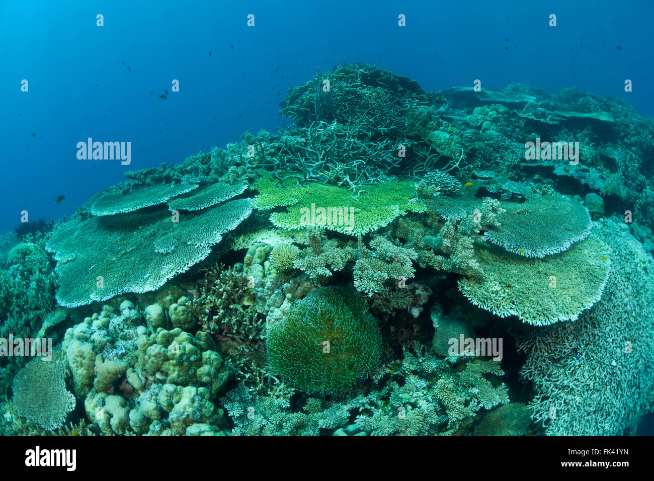 Drop offs hi-res stock photography and images - Alamy