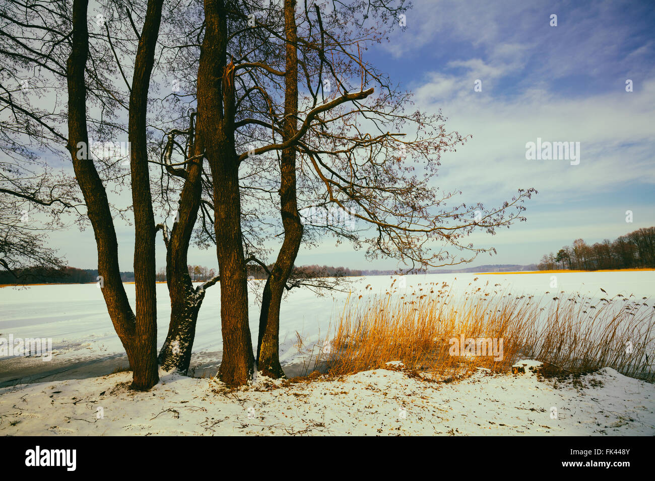 Frozen lake in winter Stock Photo - Alamy