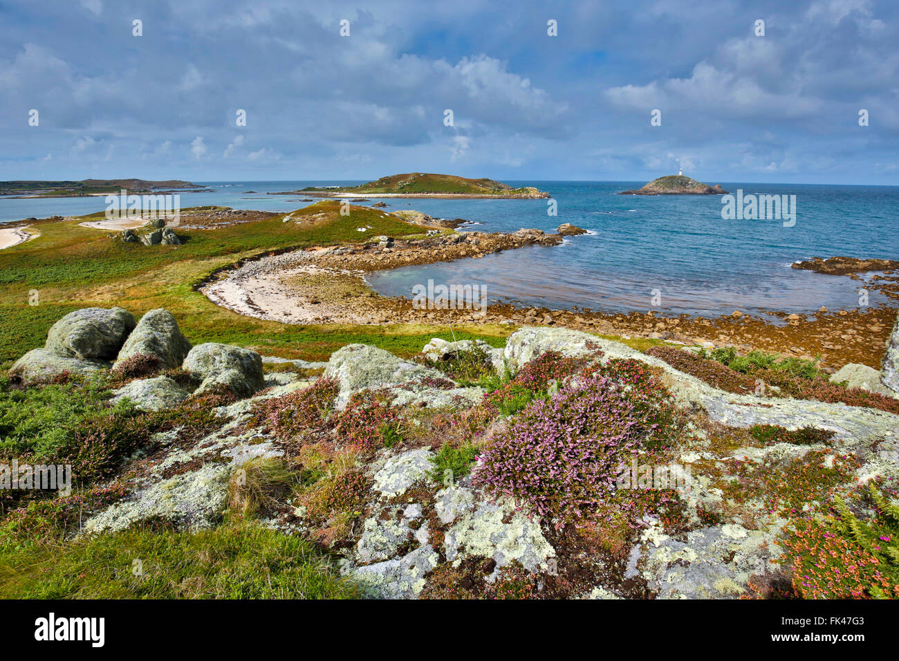 Tean hi-res stock photography and images - Alamy