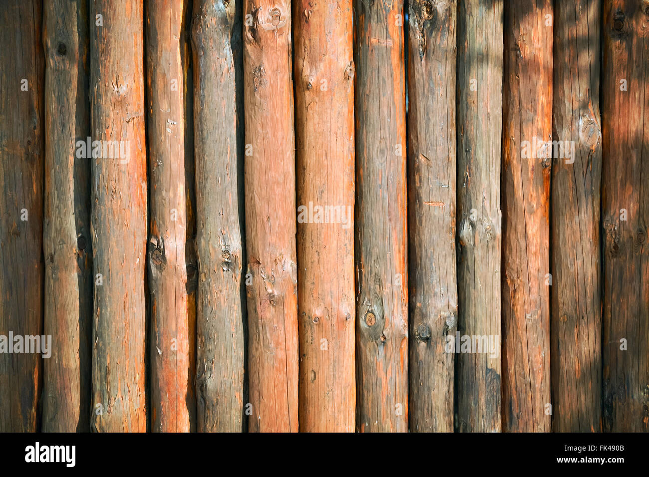 Wooden orange background made of tree trunks arranged vertically Stock ...