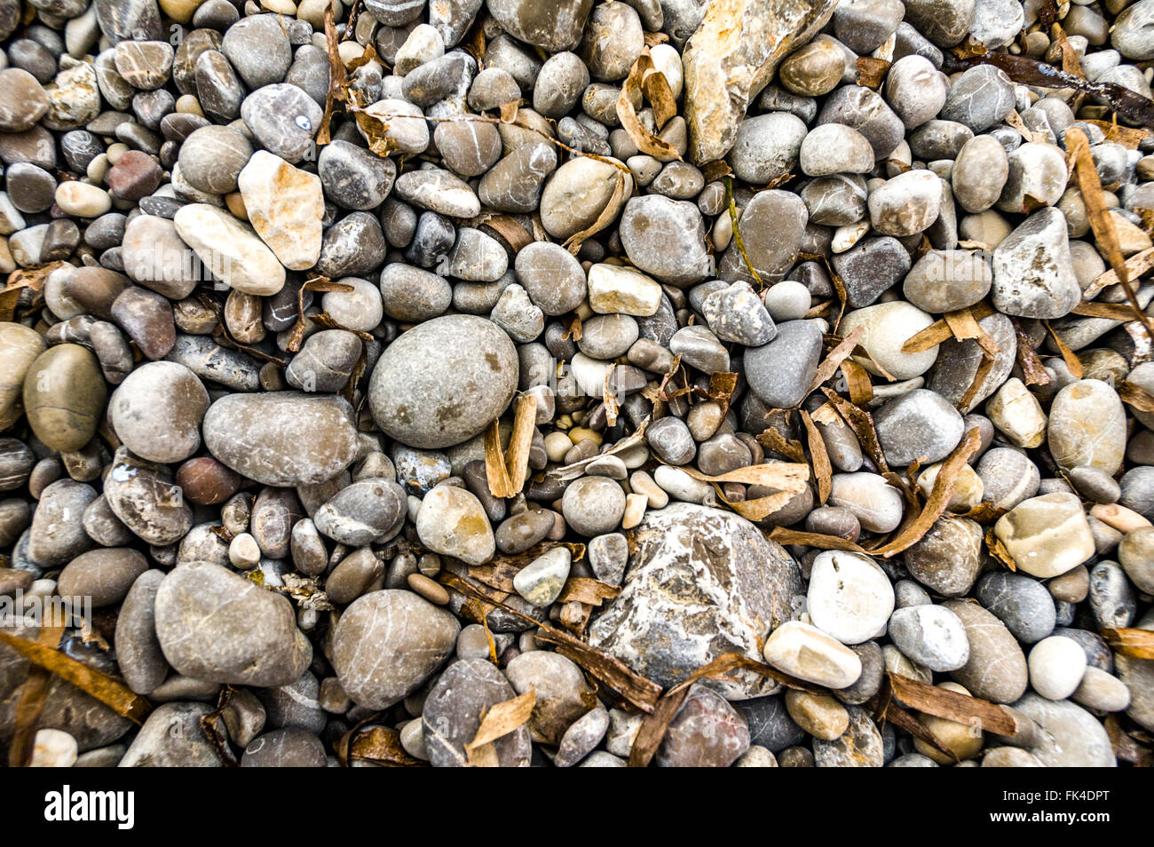 Hundreds of round stones as seen from above Stock Photo - Alamy