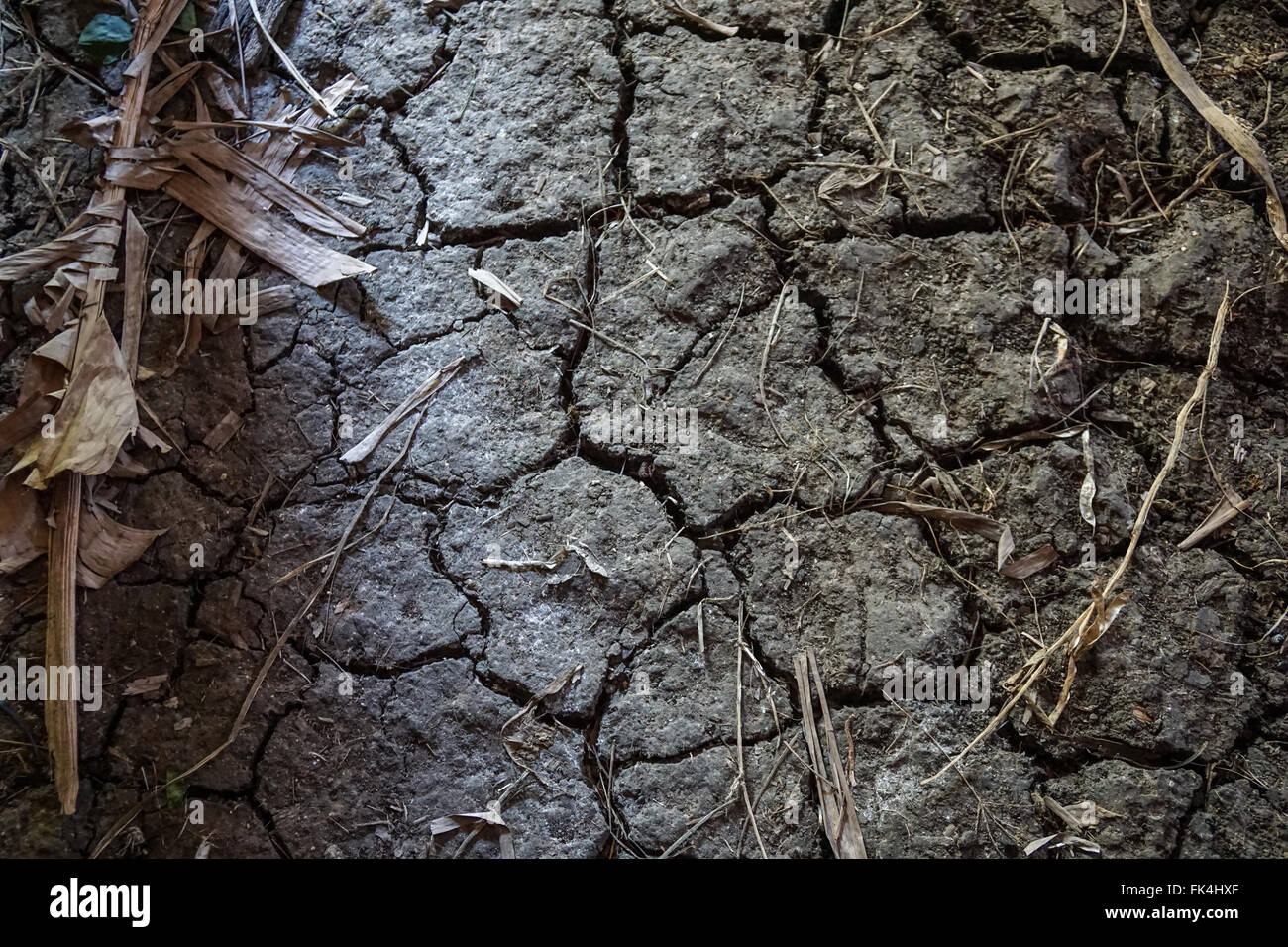 Drought on Earth. desiccated soil layers, drought and degraded soil ...