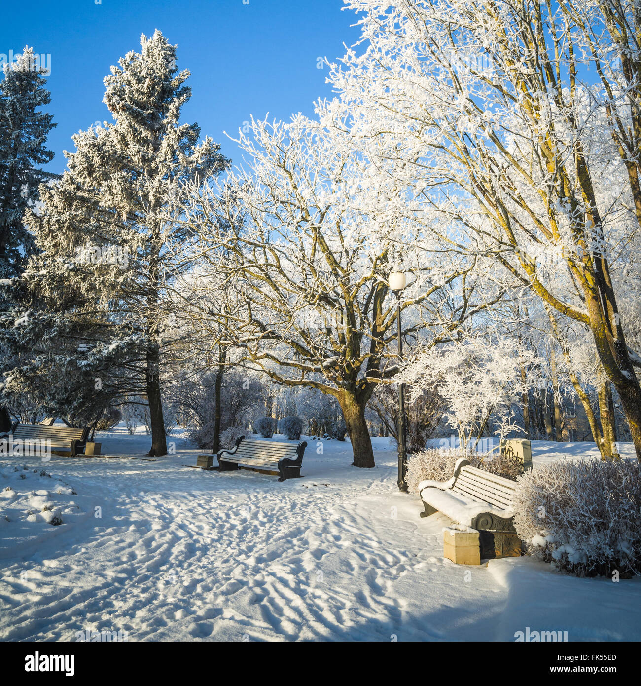 Covered with hoarfrost hi-res stock photography and images - Alamy