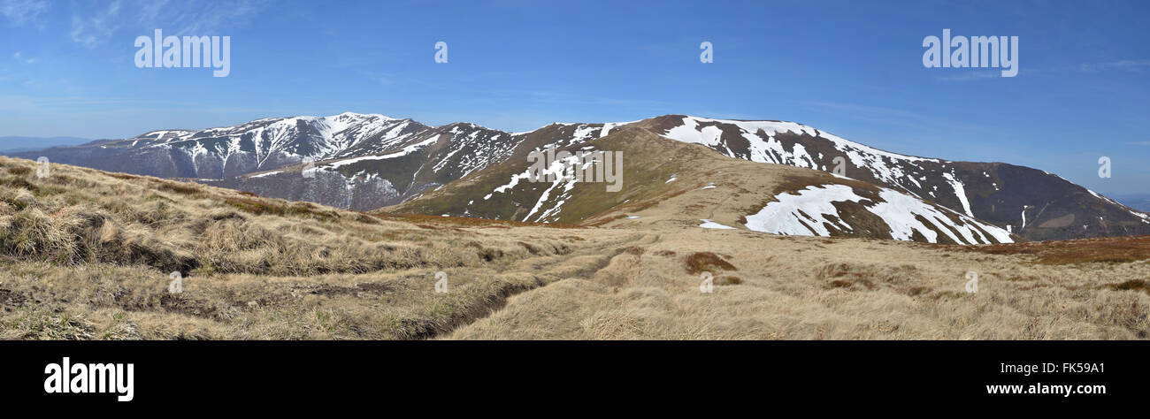 Spring alpine meadows hi-res stock photography and images - Alamy