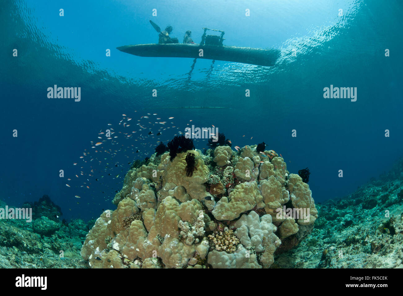 Papuan outrigger dugout canoe looms overhead in the reef underwater ...