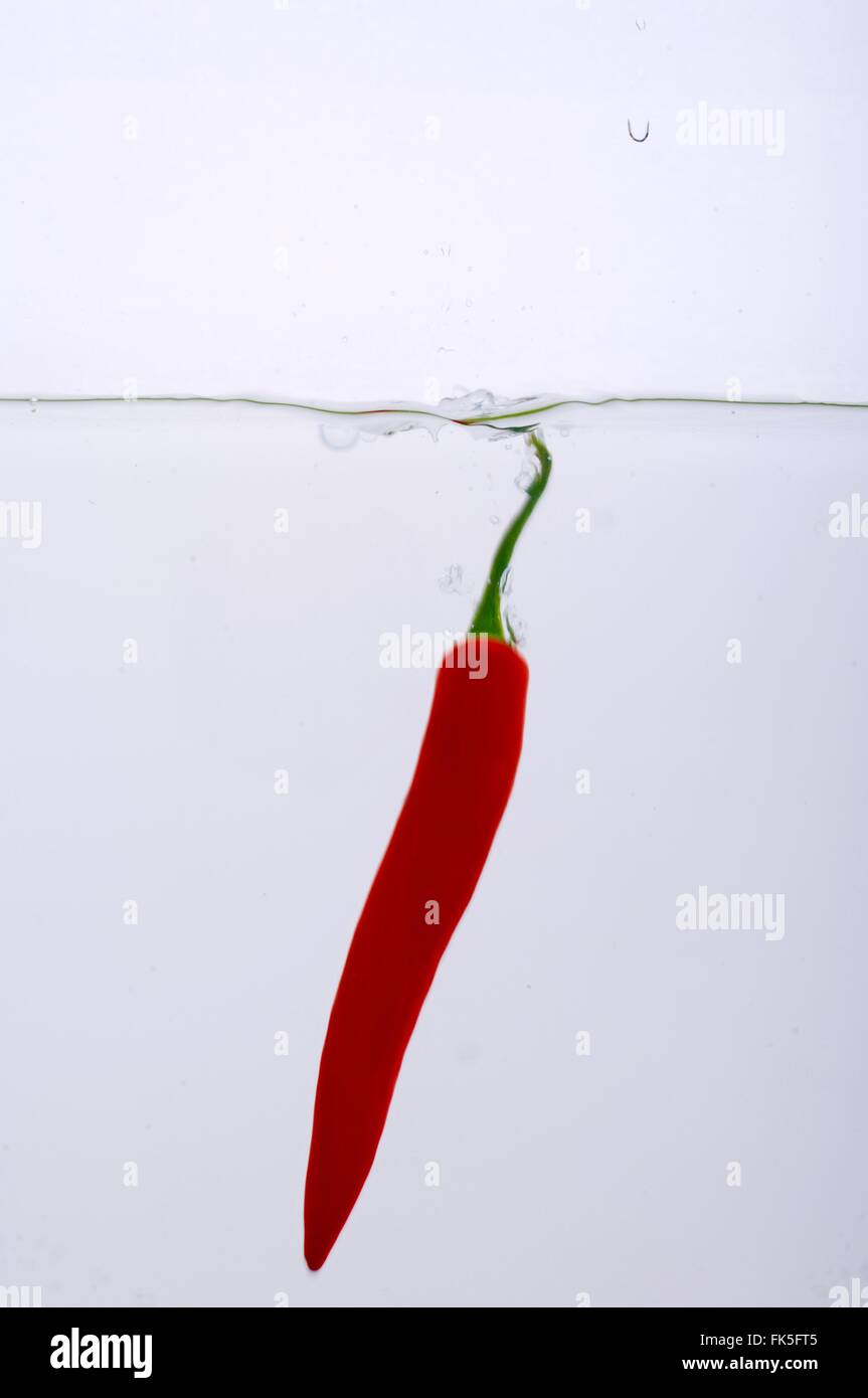 Chili pepper in water Stock Photo - Alamy