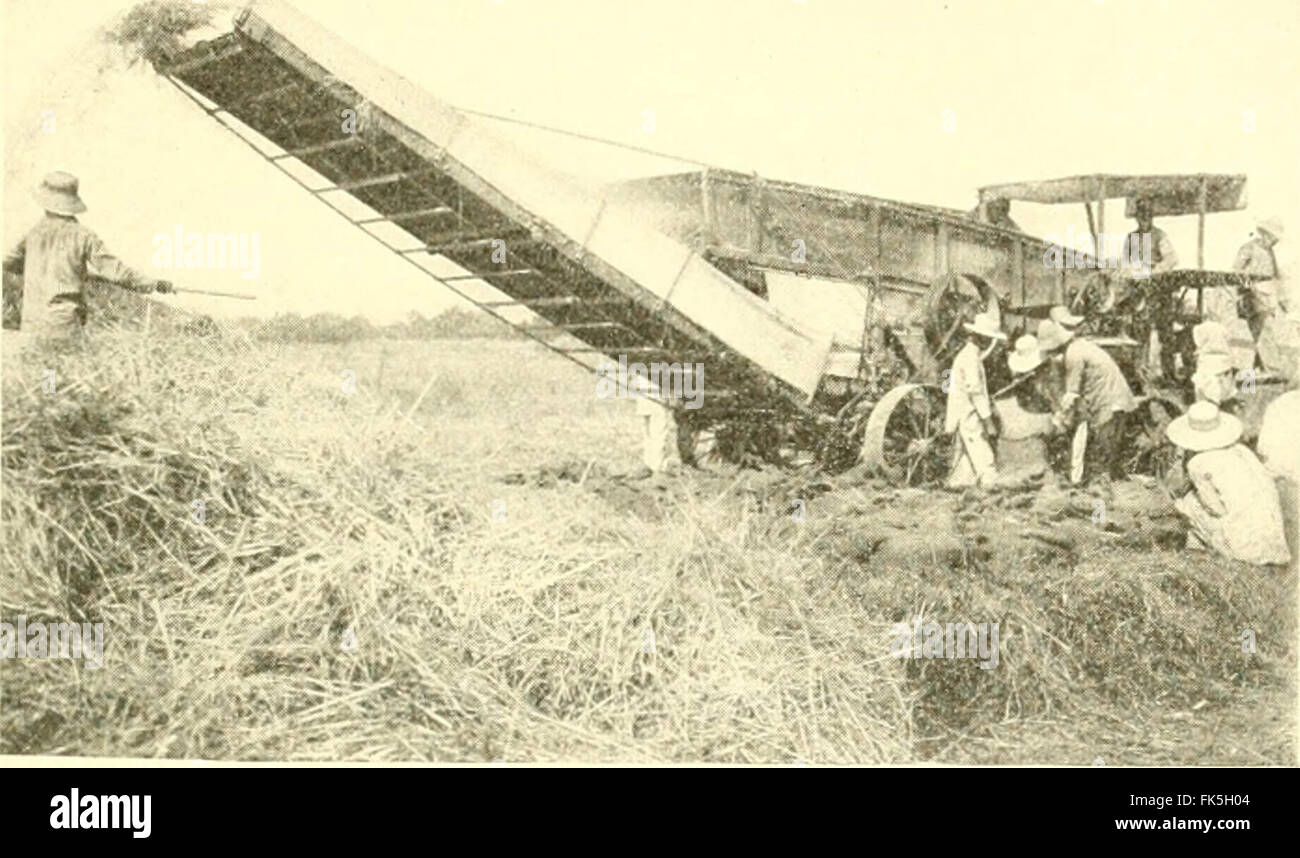 "Elements of Philippine agriculture" (1908 Stock Photo - Alamy