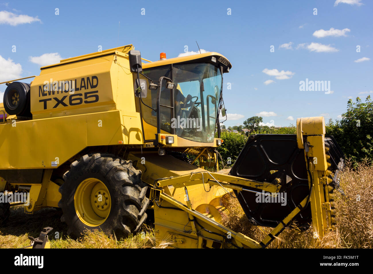 Close Up Detail of a Yellow Combine Harvesting Ripe Rape Seed in ...