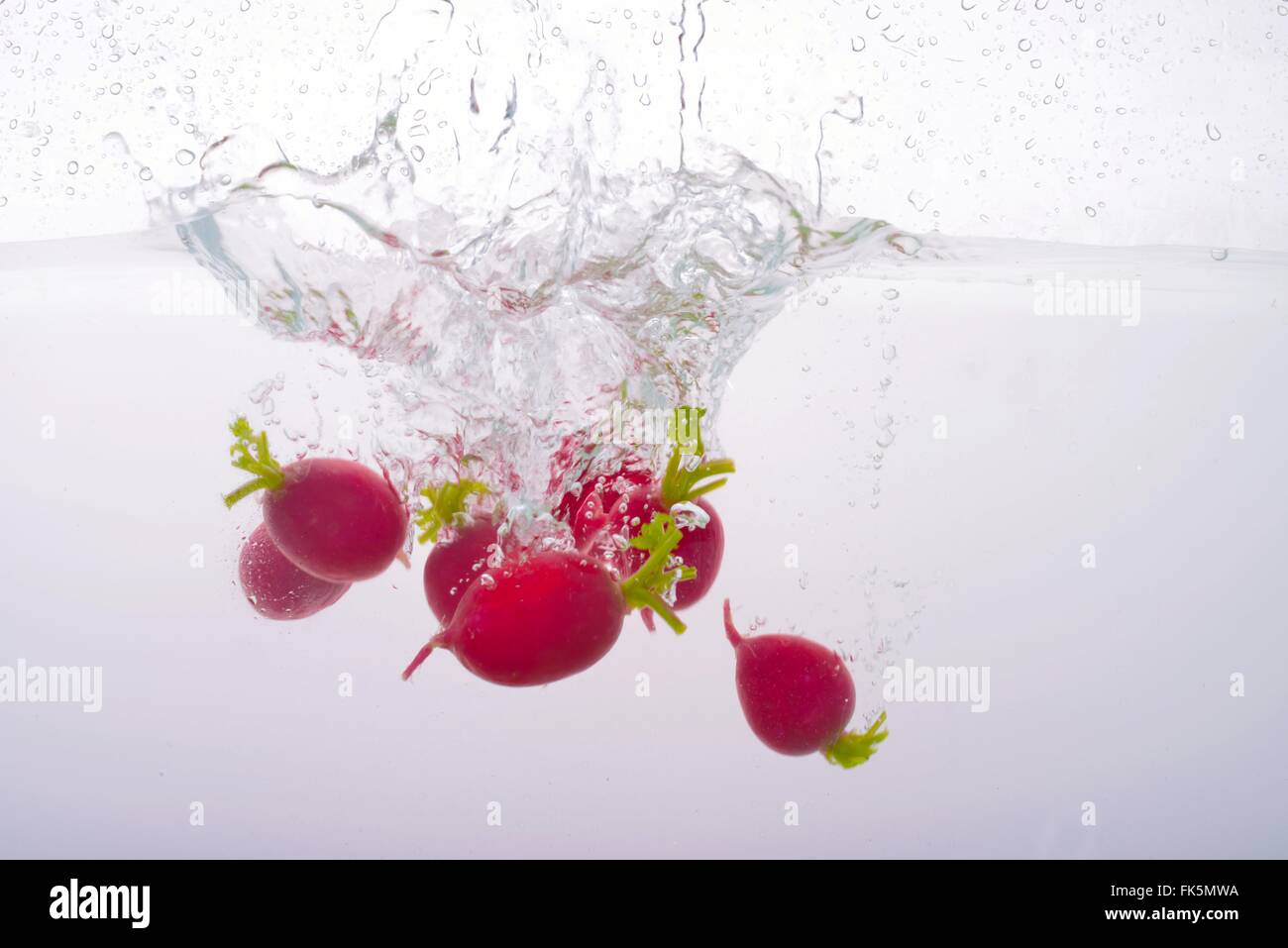 Radishes smashed into water Stock Photo - Alamy