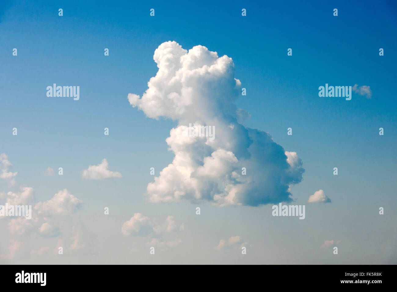 Dog shaped cloud hi-res stock photography and images - Alamy