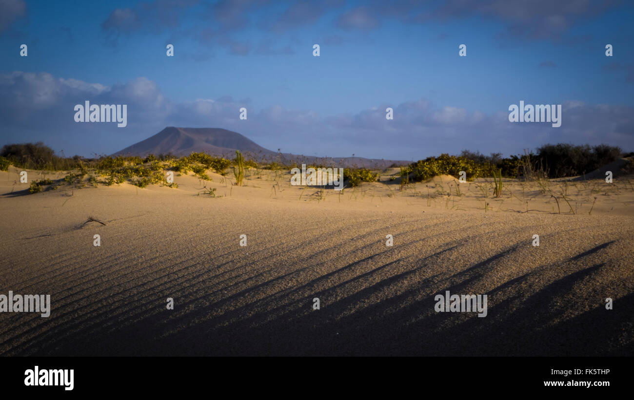 Sand pattern and mountains under a bright sun, Park Natural, Corralejo ...