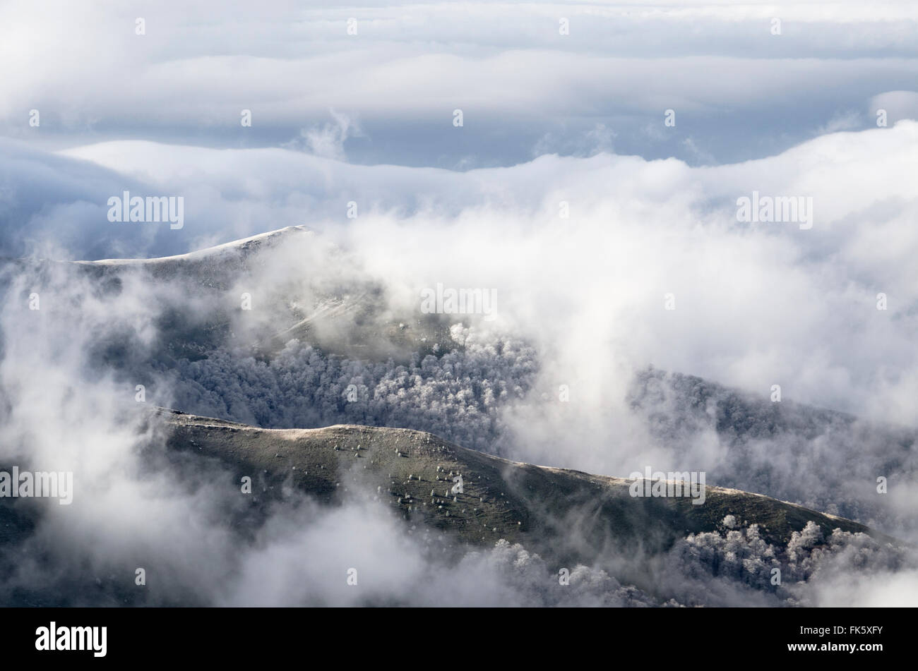 Horizon above ground hi-res stock photography and images - Alamy