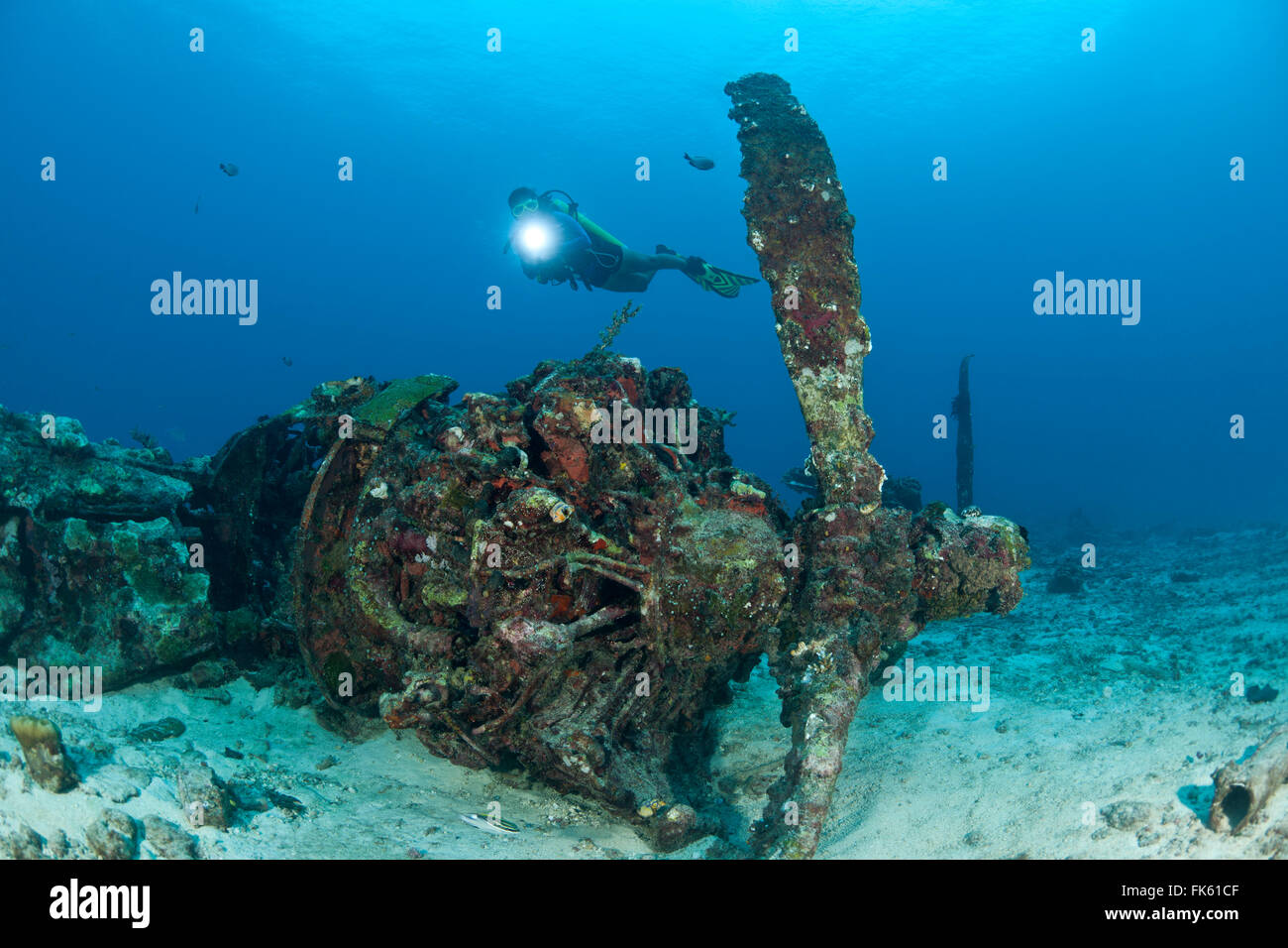 WWII plane wreck underwater with diver Stock Photo - Alamy