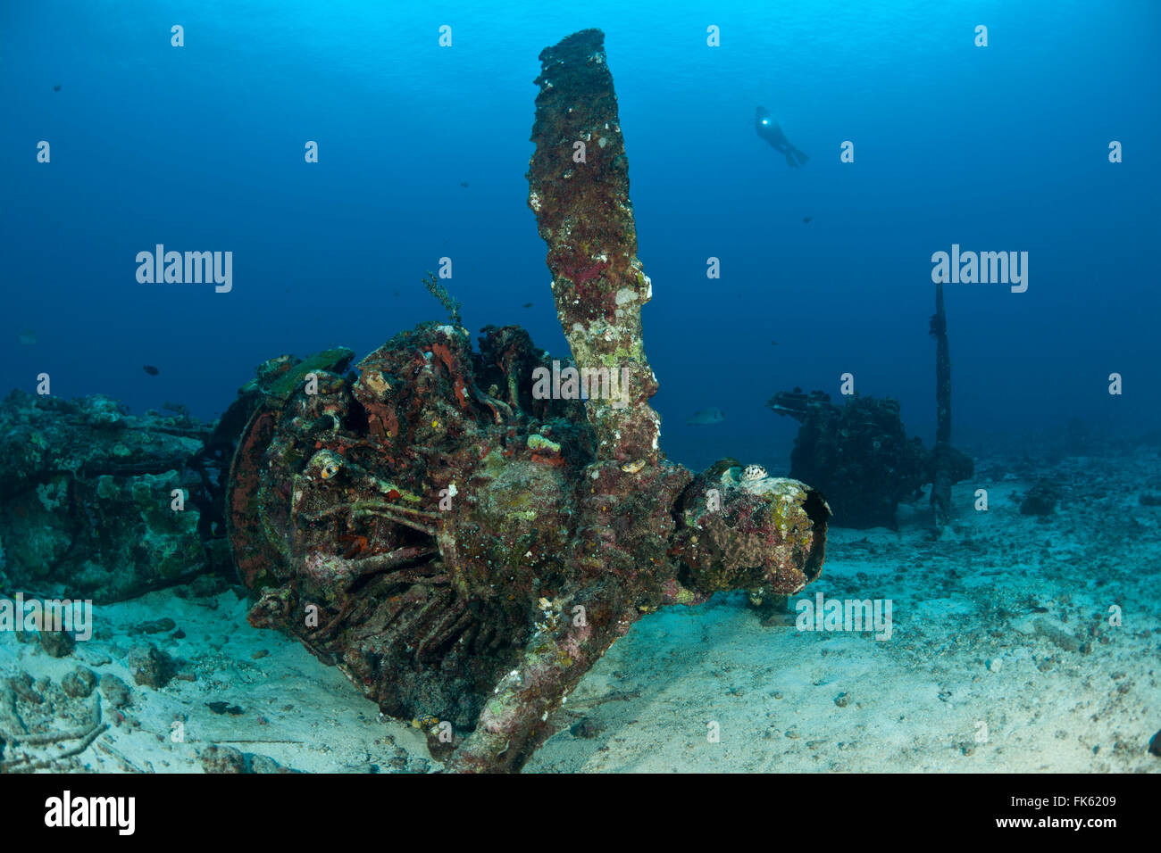 WWII plane wreck underwater with diver Stock Photo - Alamy