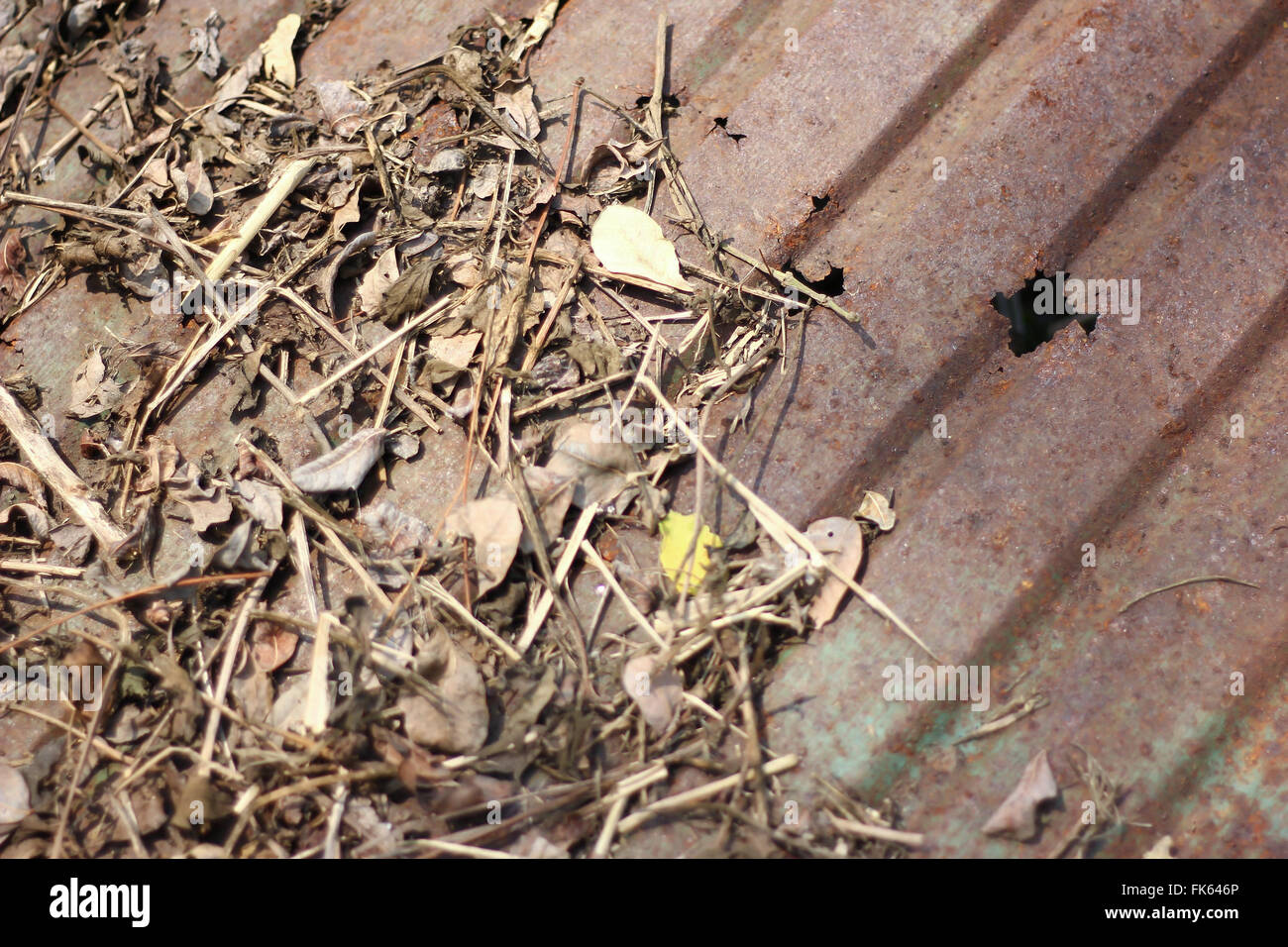 Close up of decay tin roof Stock Photo - Alamy