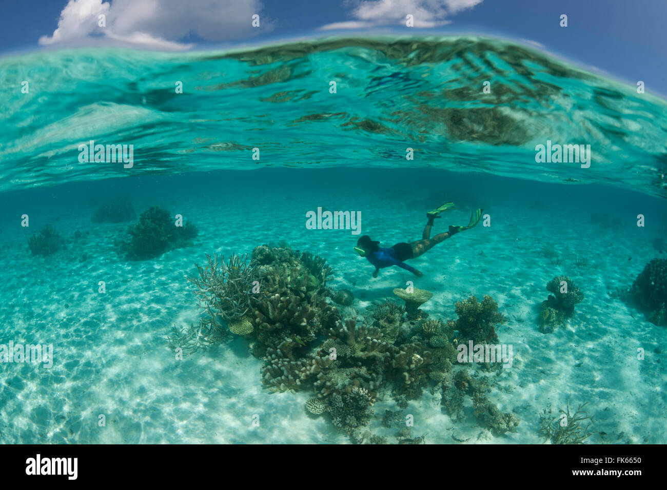 Snorkeler swimming in shallow reef in clear water shallow white sandy ...