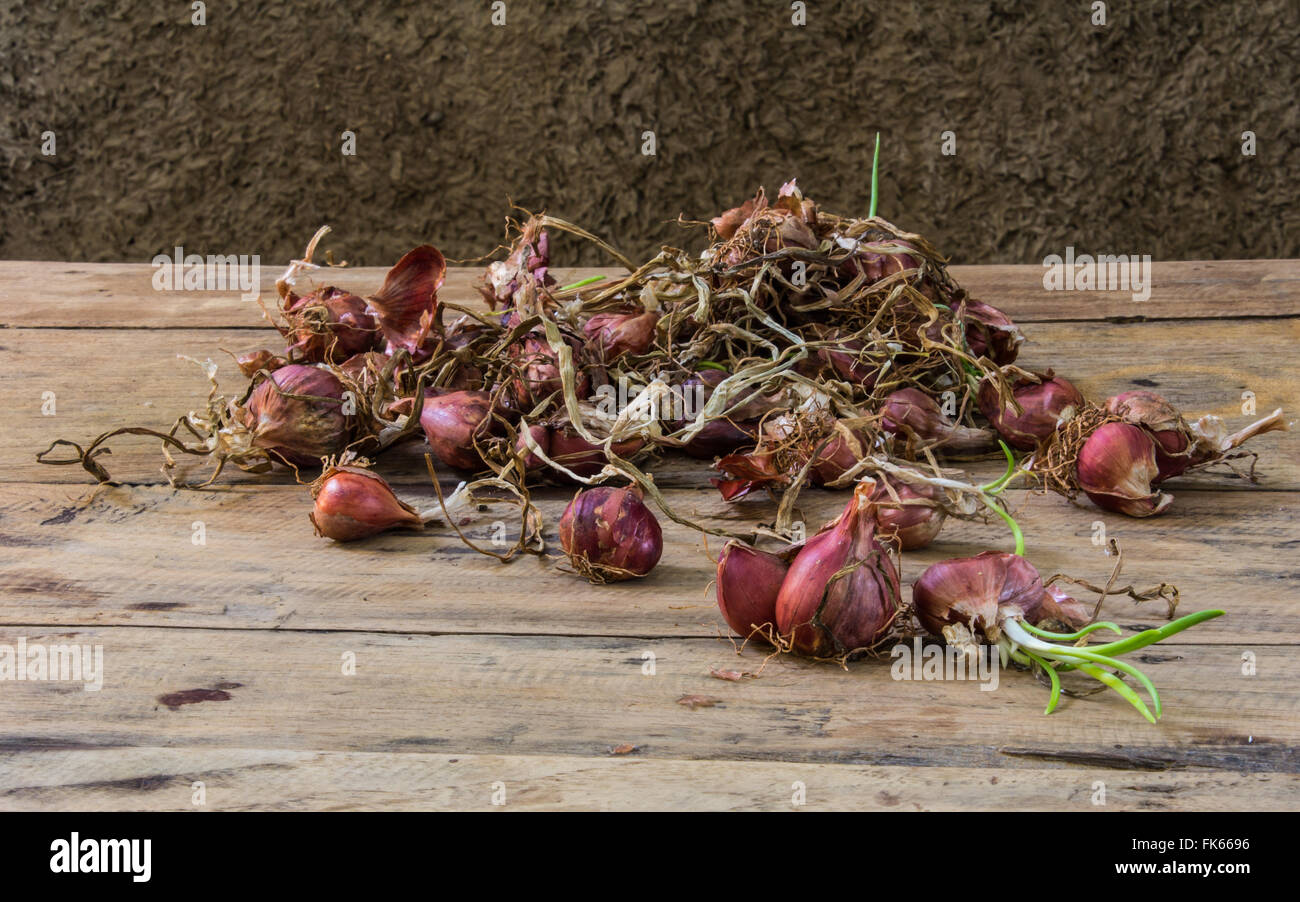 Still Life With Shallots Stock Photo - Alamy
