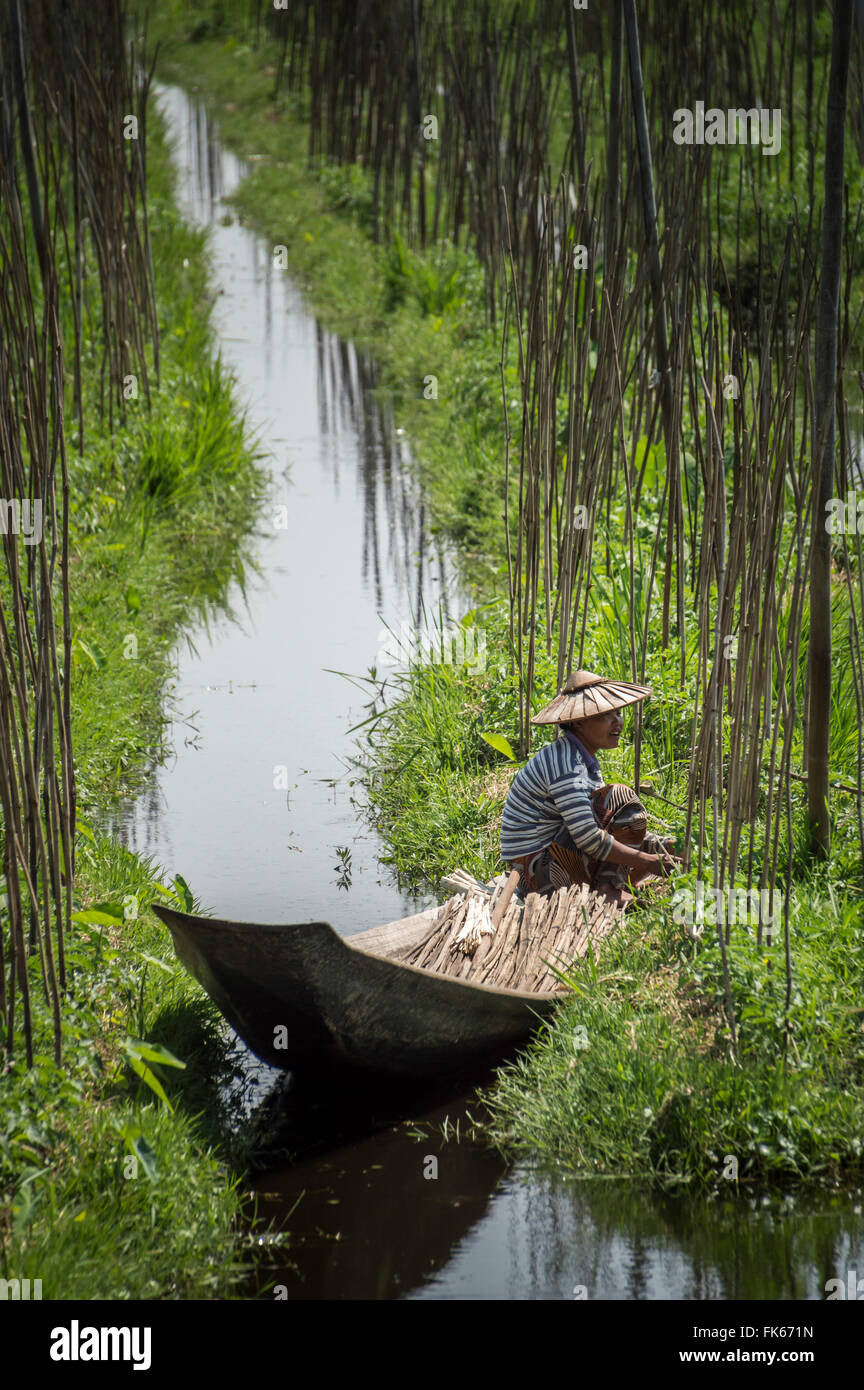Floating gardens hi-res stock photography and images - Alamy