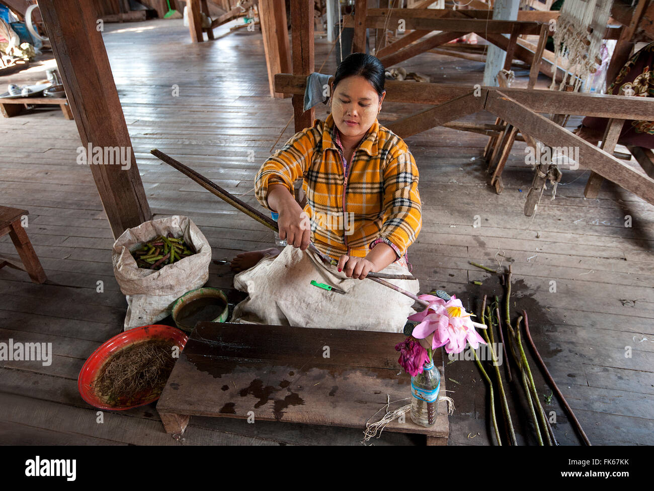 Lotus stems hi-res stock photography and images - Alamy