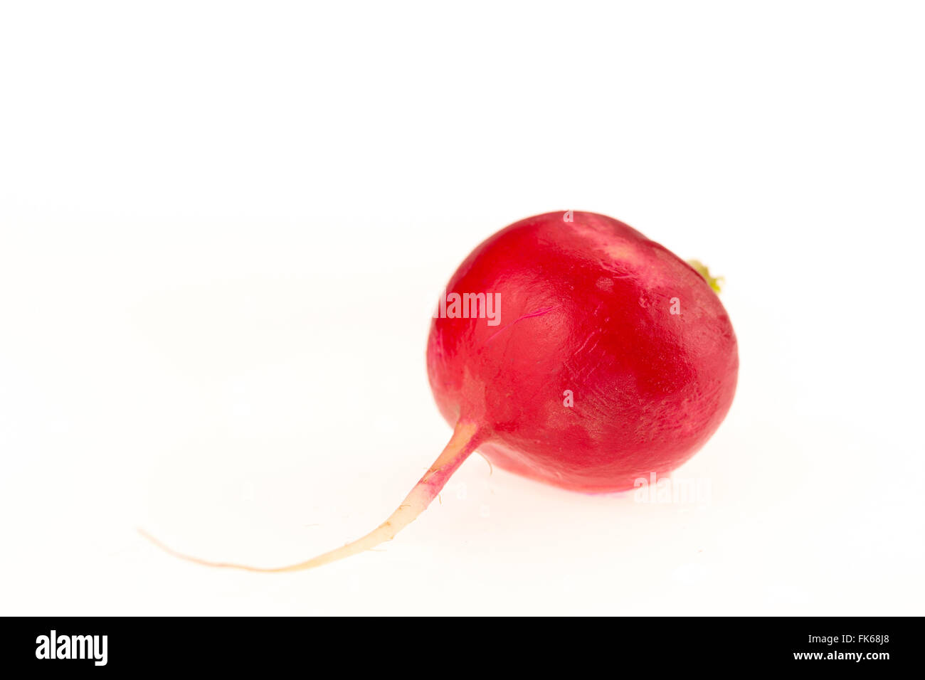one radish on a white background Stock Photo - Alamy