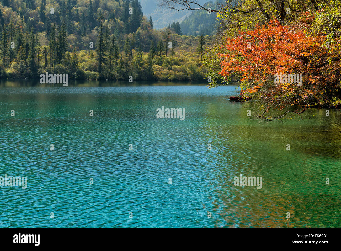 Panda Lake, Jiuzhaigou National Park, UNESCO World Heritage Site ...