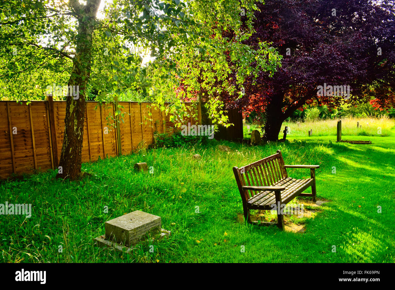 A bench in a park. London, United Kingdom Stock Photo - Alamy
