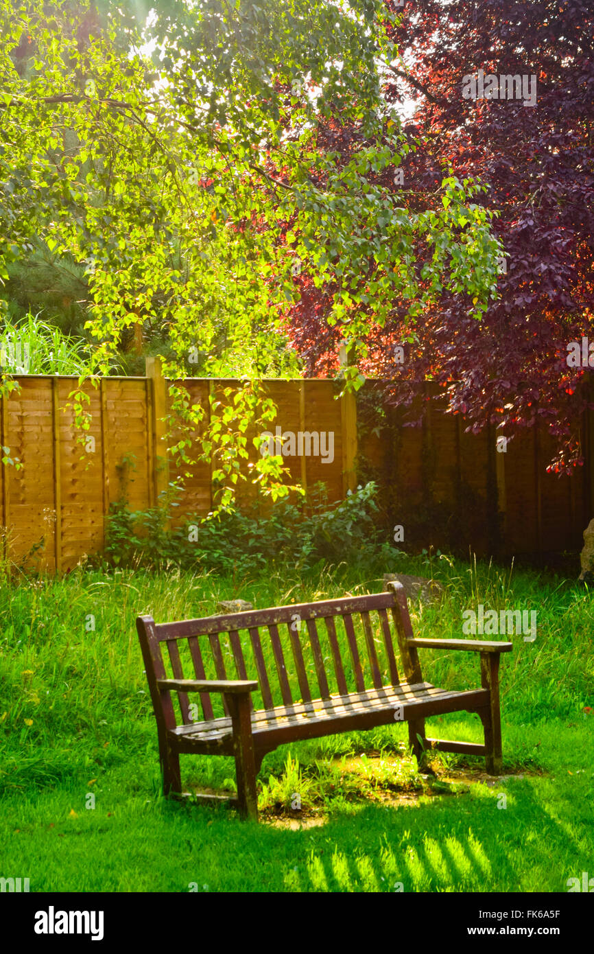 A bench in a park. London, United Kingdom Stock Photo - Alamy