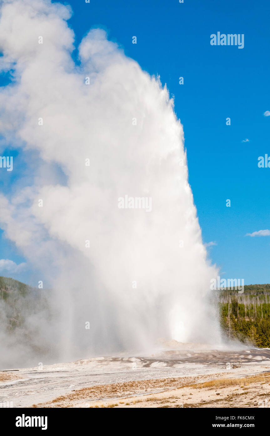 Geyser yellowstone hi-res stock photography and images - Alamy
