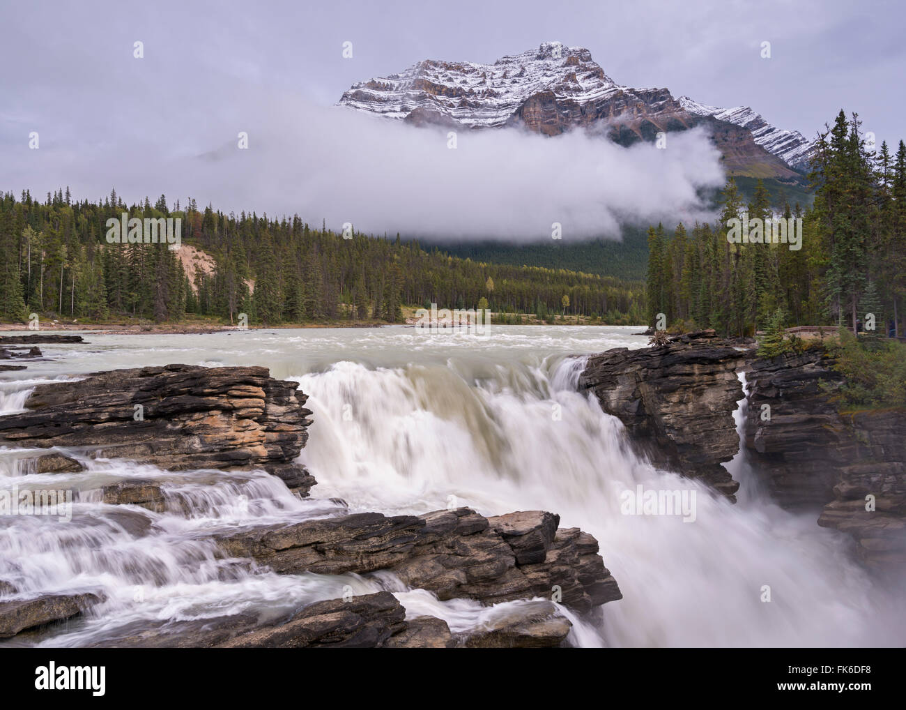 Athabasca Falls in the Canadian Rockies, Jasper National Park, UNESCO ...